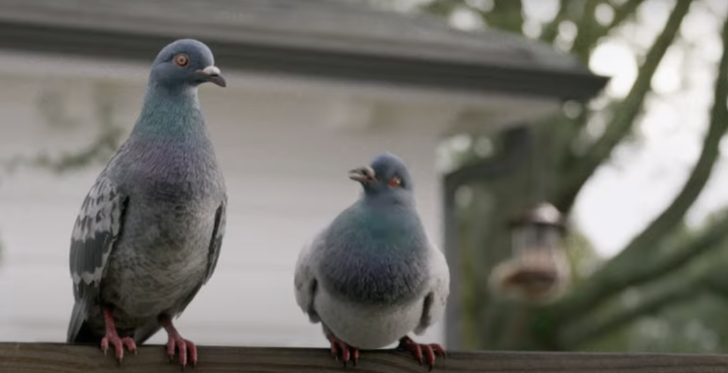 Steve Buscemi Discusses Voicing a Pigeon for DirecTV Campaign - mxdwn ...